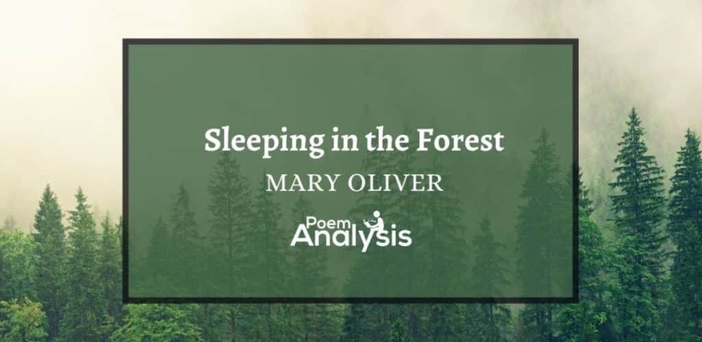 Sleeping in the Forest by Mary Oliver - Poem Analysis