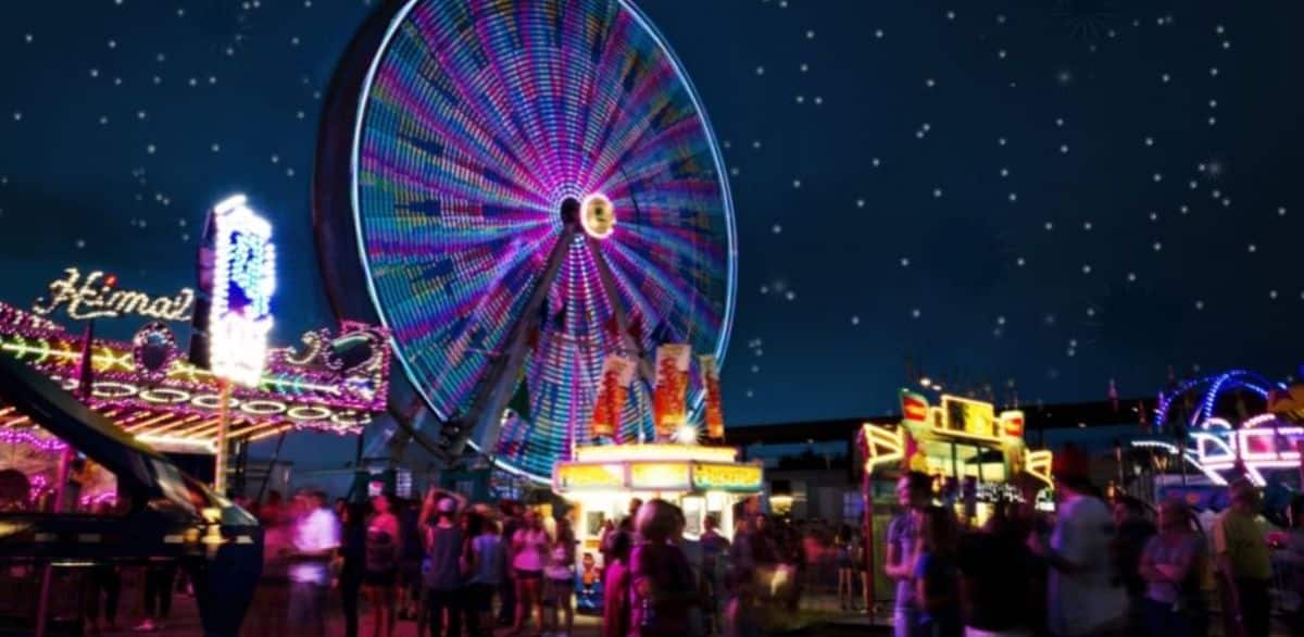 Animal Fair - Poem Analysis