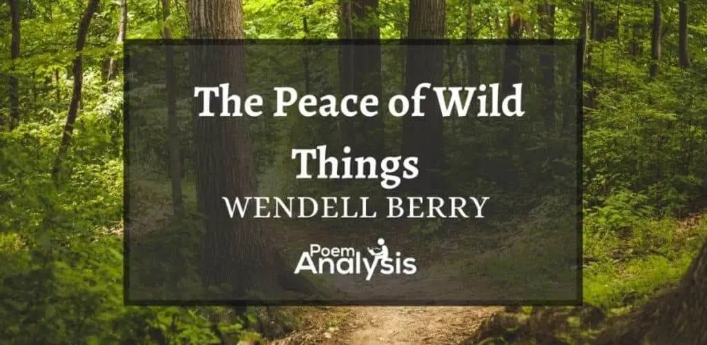 The Peace of Wild Things by Wendell Berry - Poem Analysis