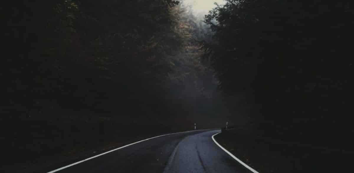 Traveling through the Dark by William Stafford - Poem Analysis