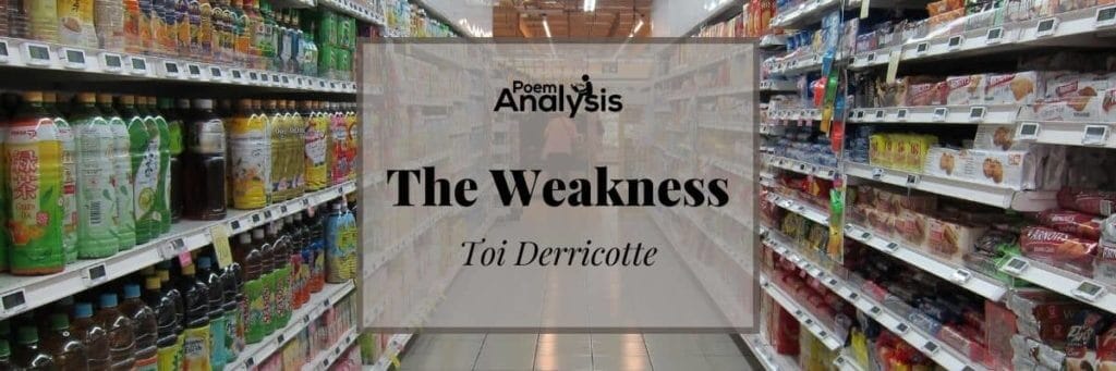 The Weakness by Toi Derricotte - Poem Analysis The Weakness by Toi Derricotte - Poem Analysis