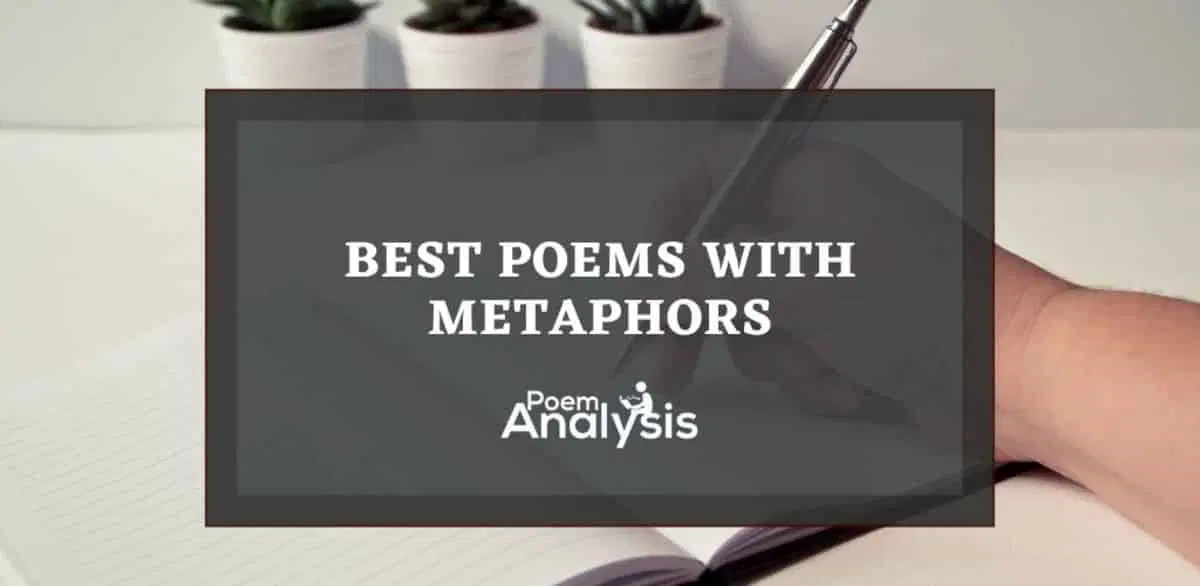 Top 10 Poems with Metaphors Poet Lovers Must Read - Poem Analysis