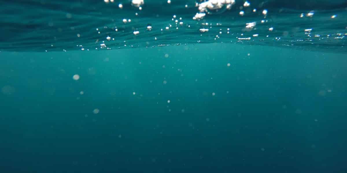 Rowing by Anne Sexton - Poem Analysis