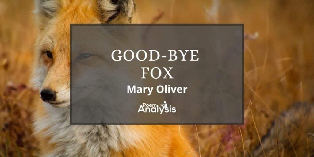 Good-bye Fox by Mary Oliver - Poem Analysis