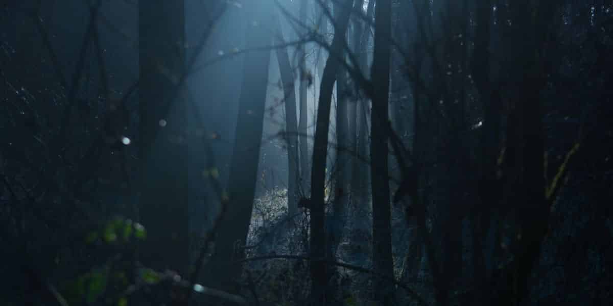 10 Dark Poems That Will Give You Shivers - Poem Analysis