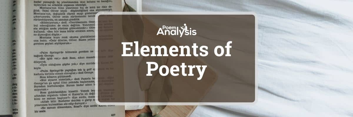 10 Important Elements of Poetry - Poem Analysis