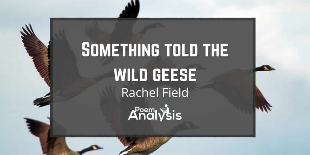 Something Told the Wild Geese by Rachel Field - Poem Analysis