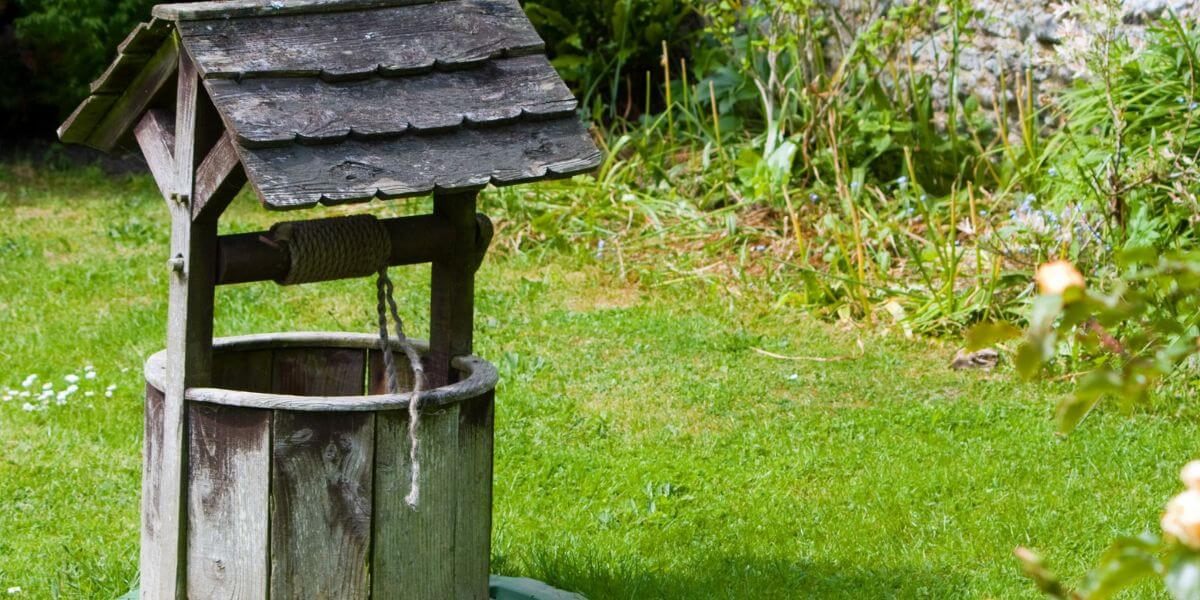 What mystery pervades a well! by Emily Dickinson - Poem Analysis