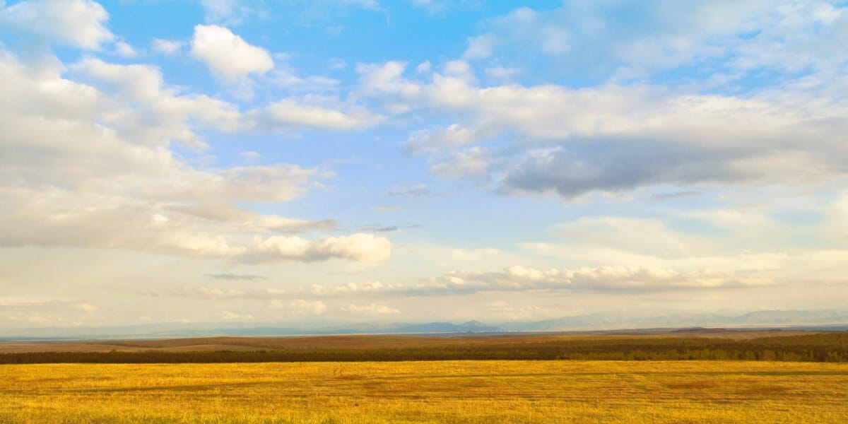 Amethyst Beads by Eavan Boland - Poem Analysis