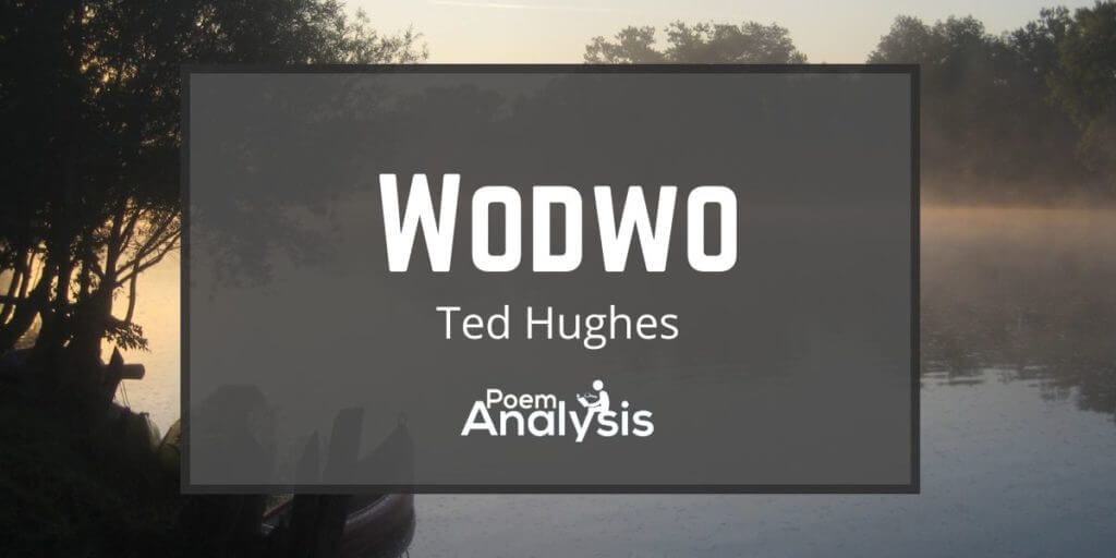 Wodwo by Ted Hughes - Poem Analysis