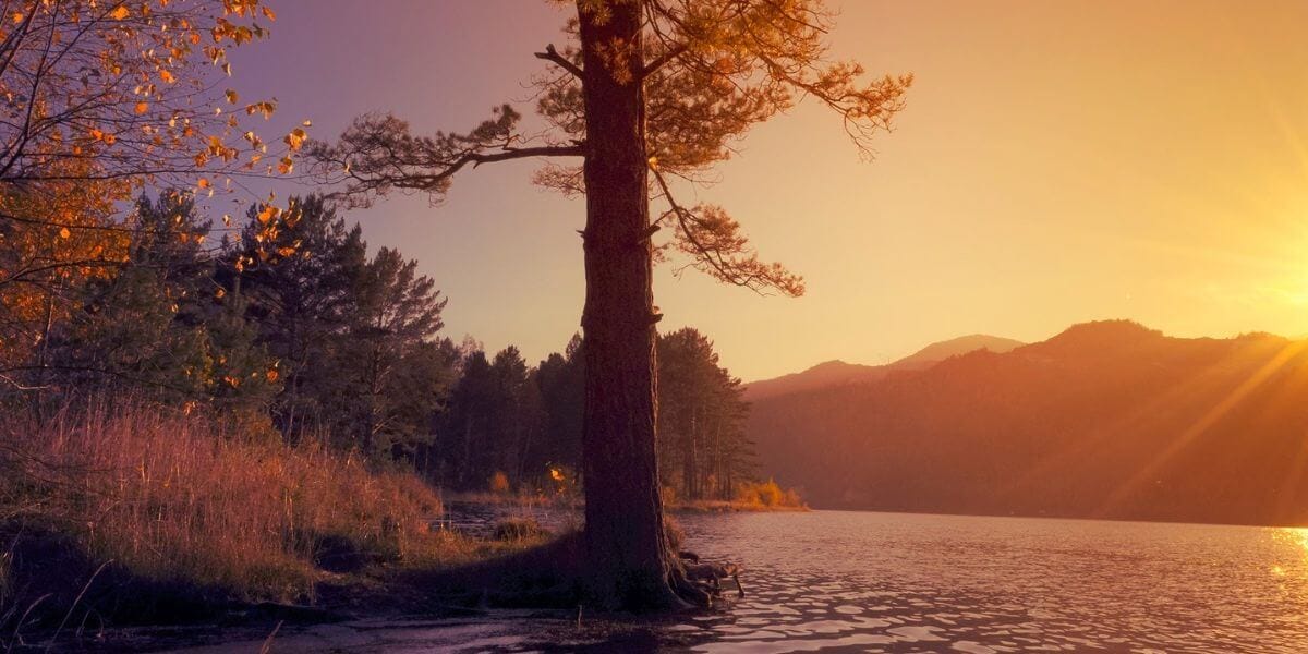 All Things Bright and Beautiful by Cecil Frances Alexander - Poem Analysis