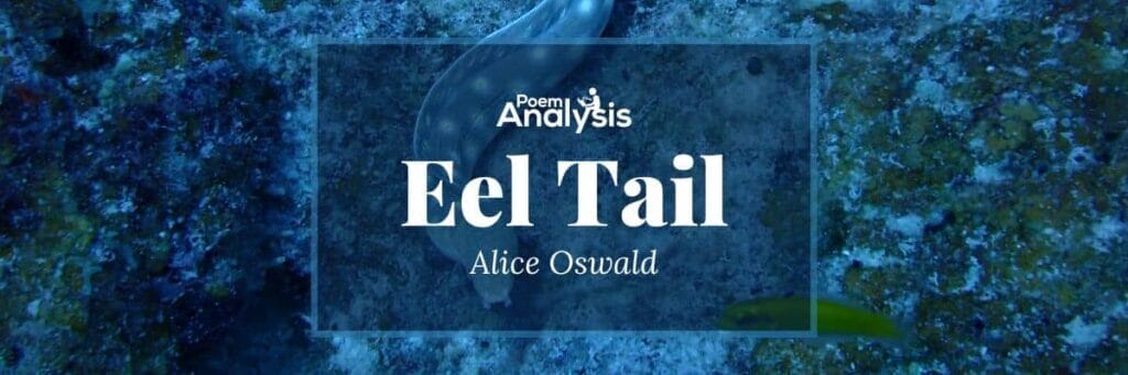 Eel Tail by Alice Oswald - Poem Analysis