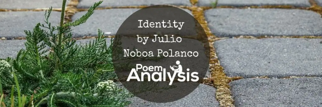 Identity by Julio Noboa Polanco - Poem Analysis