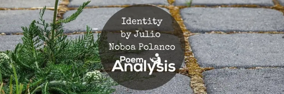 Identity by Julio Noboa Polanco - Poem Analysis