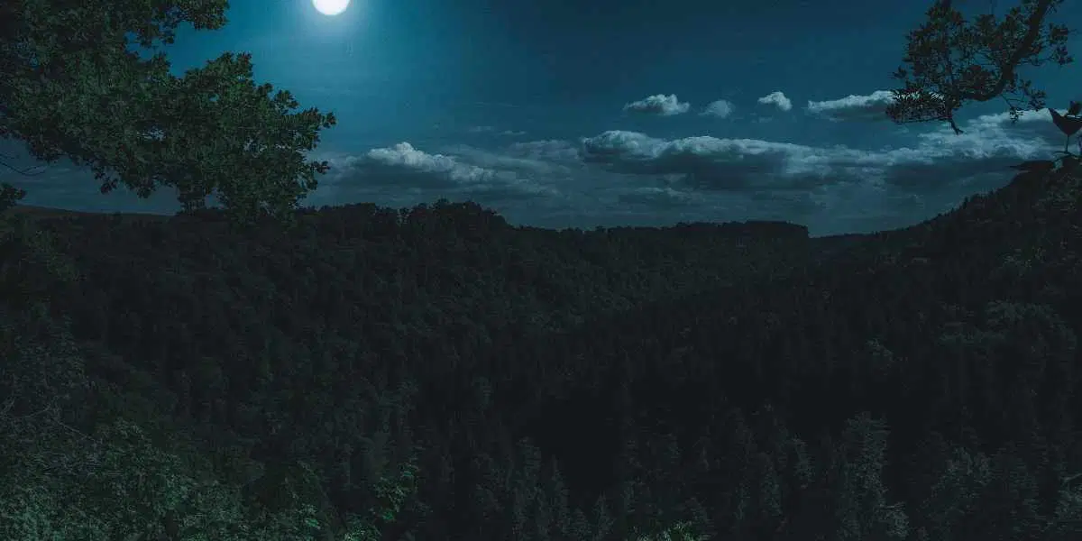 Mr. Flood’s Party by Edwin Arlington Robinson - Poem Analysis