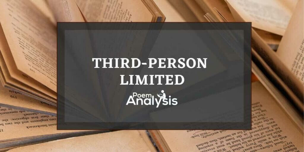 Third-Person Limited Perspective - Poem Analysis