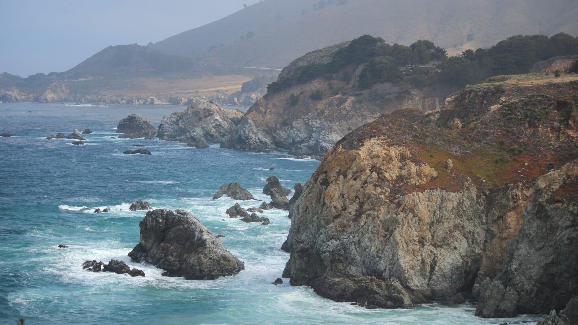 The Fish by Marianne Moore - Poem Analysis