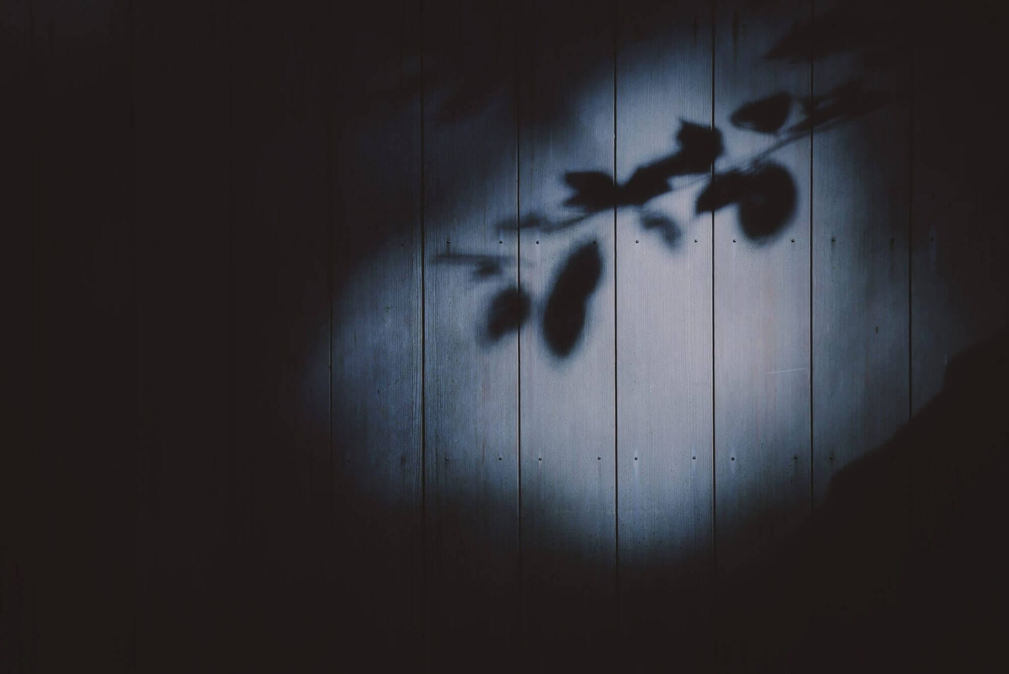 The Shadow Bride by J.R.R. Tolkien - Poem Analysis