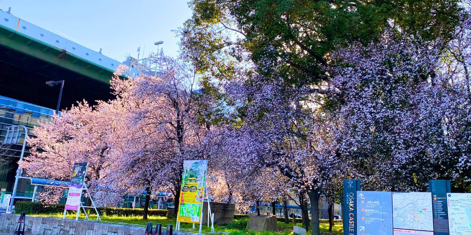 14 Themes that Appear in Haiku Poetry - Poem Analysis