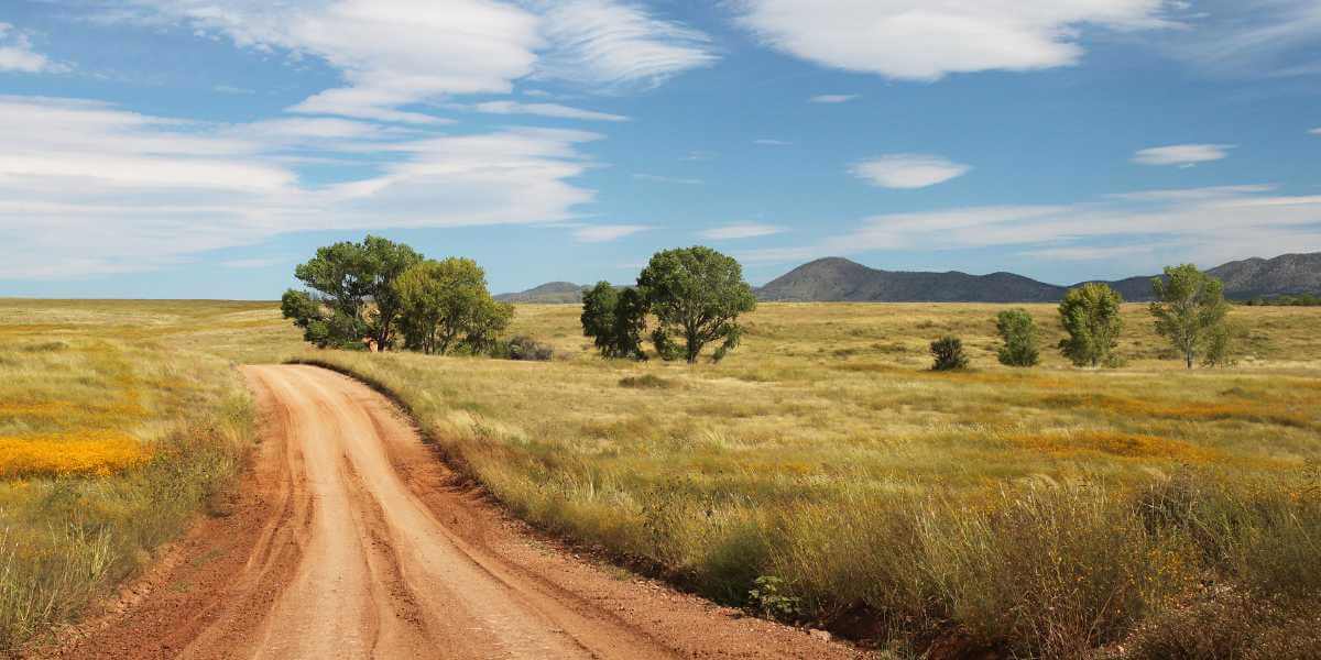 Understand A Roadside Stand by Robert Frost - Poem Analysis