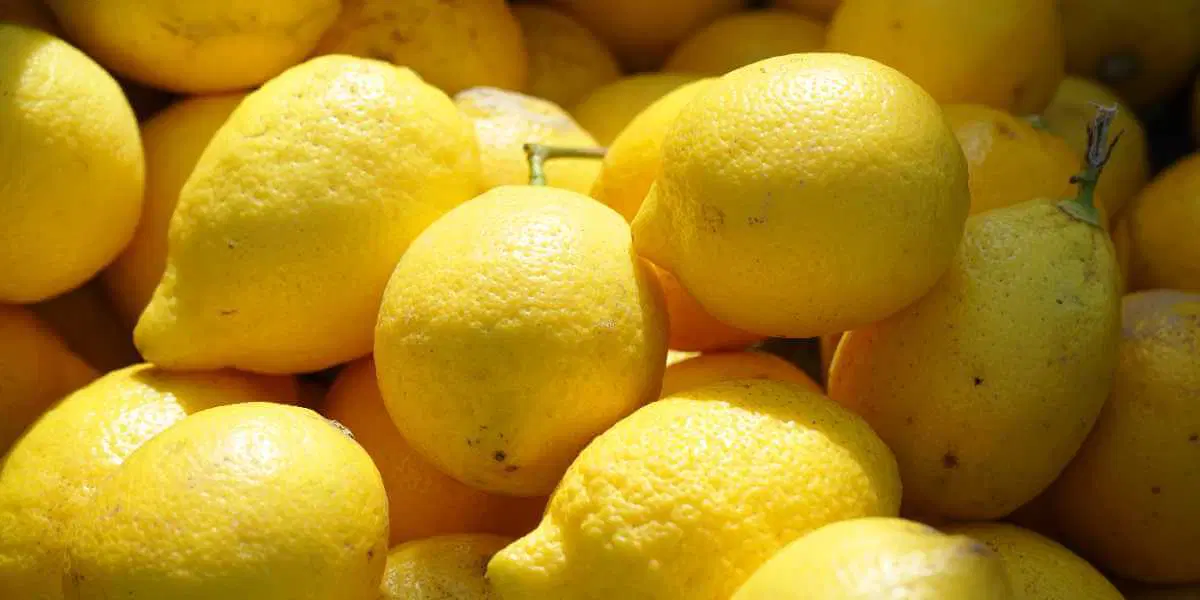 Wild Lemons by David Malouf - Poem Analysis
