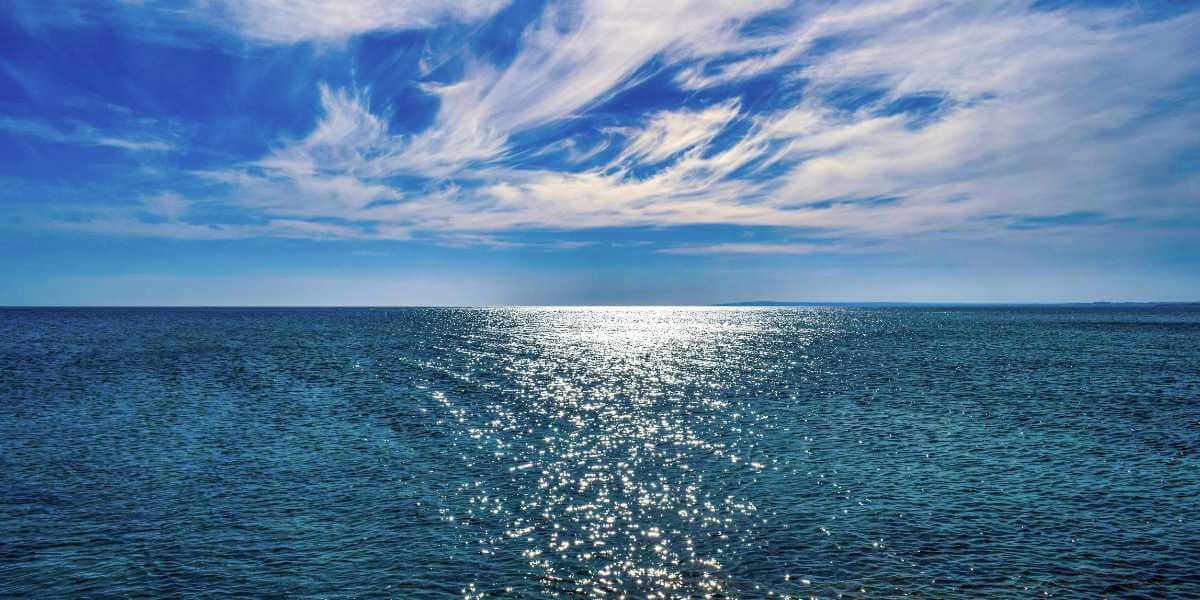 Amanda! by Robin Klein - Poem Analysis