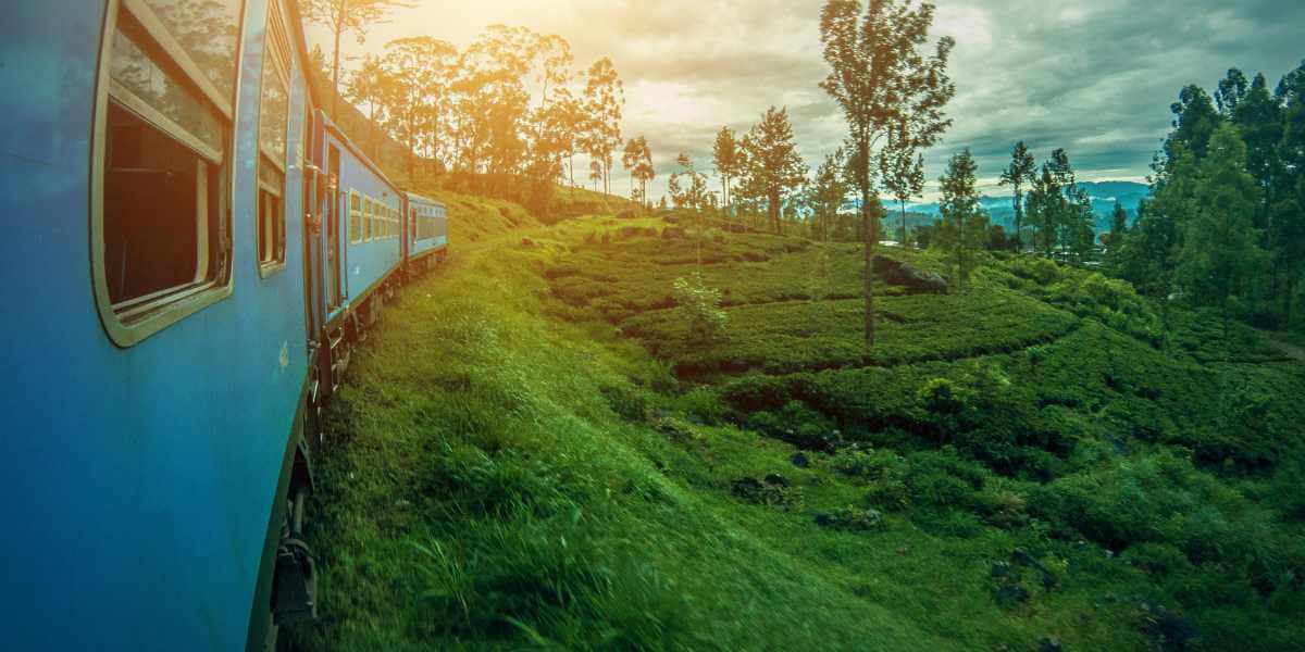 On an Afternoon Train from Purley to Victoria, 1955 by James Berry ...