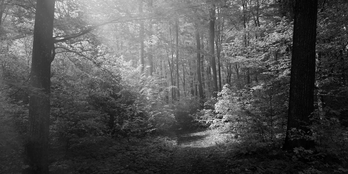 The Thread of Life by Christina Rossetti - Poem Analysis