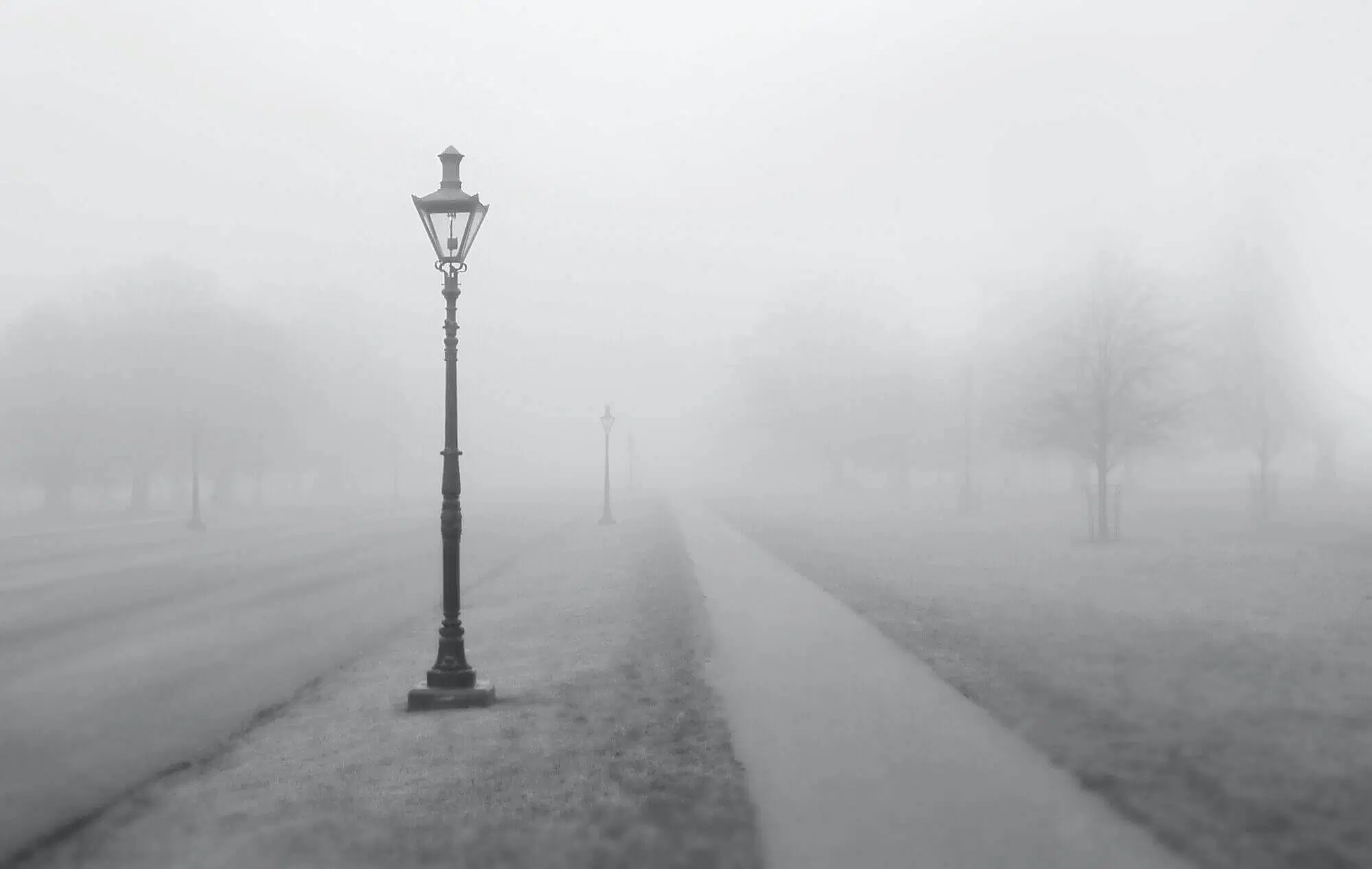 Letter in November by Sylvia Plath - Poem Analysis