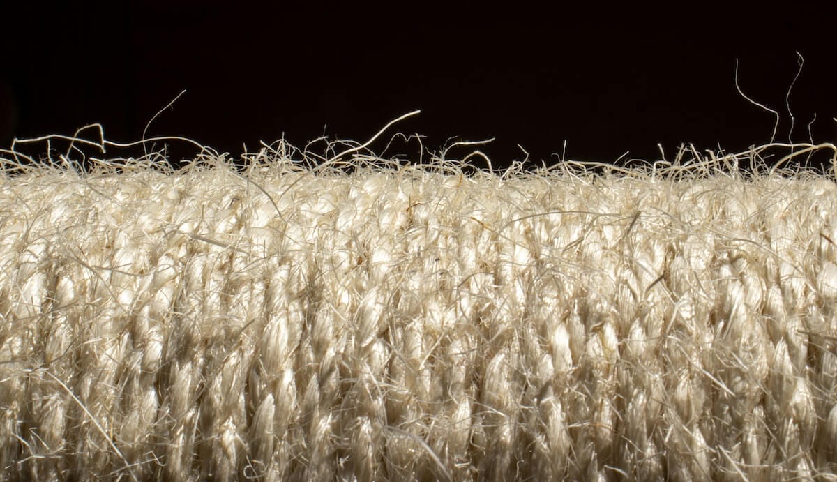 Twist Ye, Twine Ye by Sir Walter Scott - Poem Analysis