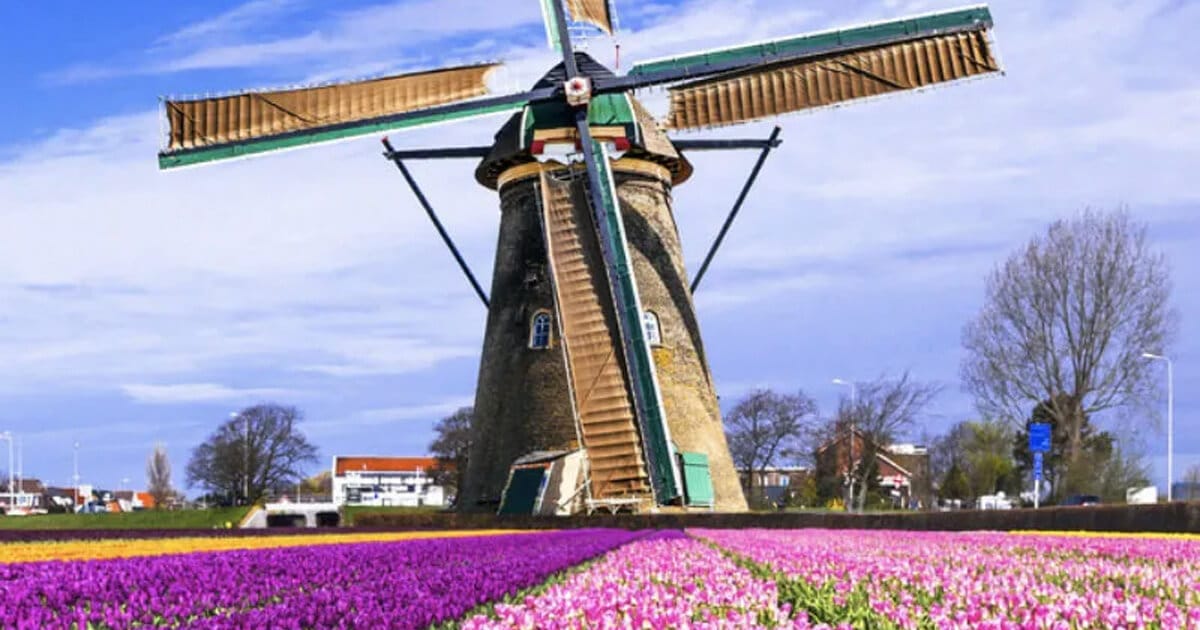 Welcome To Holland by Emily Perl Kingsley - Poem Analysis