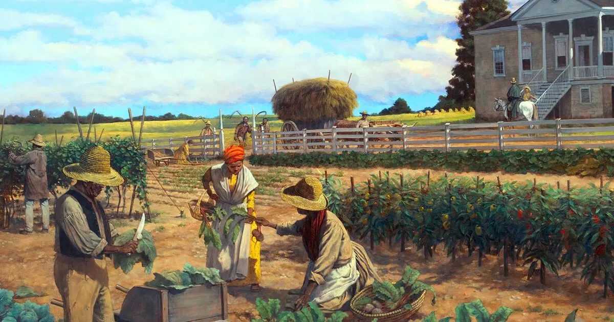 The Great Personal Privation by Tracy K. Smith - Poem Analysis