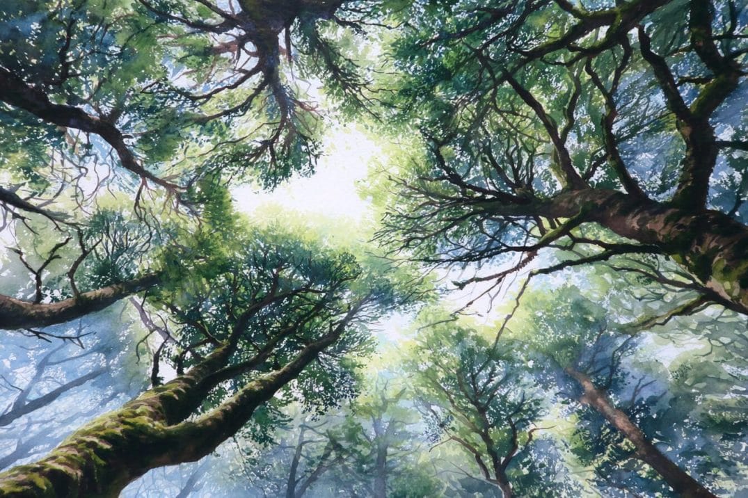 When I Am Among The Trees by Mary Oliver - Poem Analysis